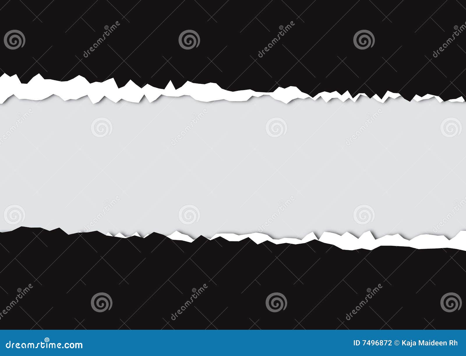 Torn Paper With Rolled Edge On Transparent Background. Realistic Ripped ...