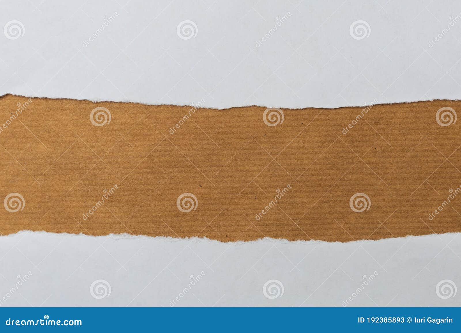 The Torn Paper Forms an Abstract Background with Copy Space Stock Image ...