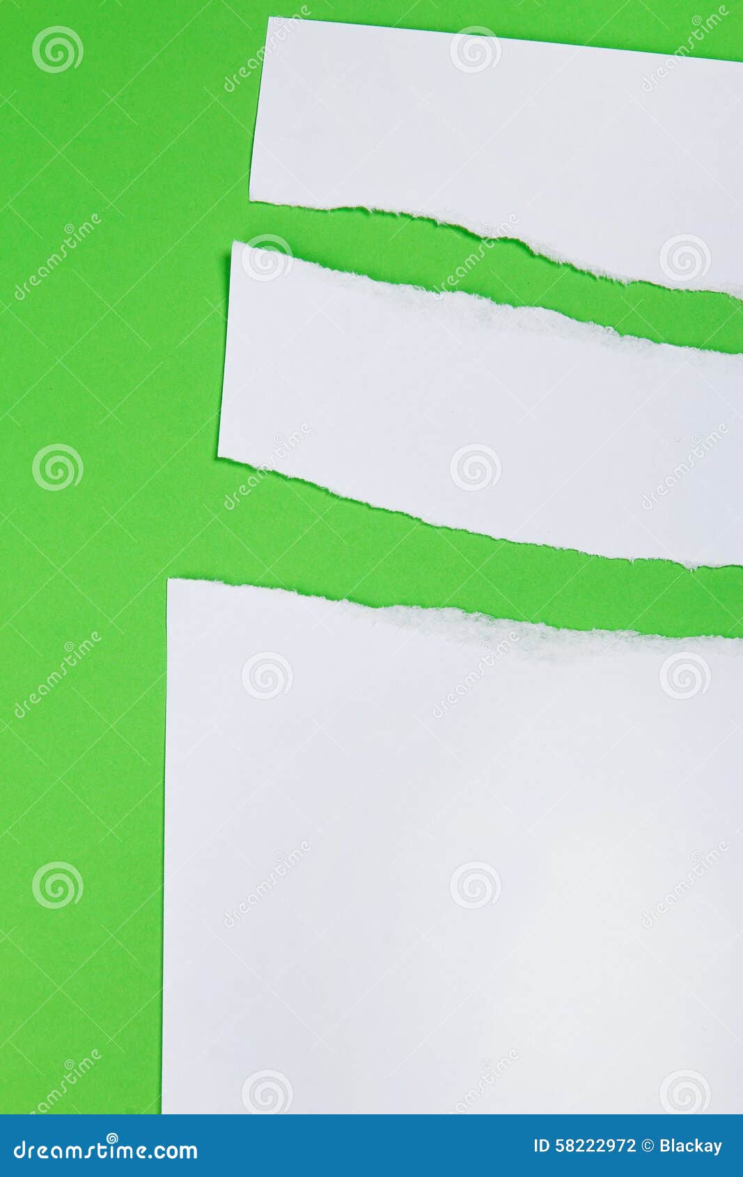 Torn Paper on Green Background Stock Photo - Image of border, texture ...