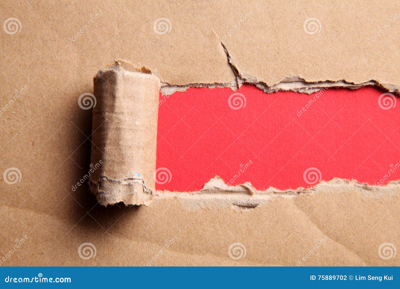 Torn paper stock photo. Image of edge, destroy, gray - 75889702