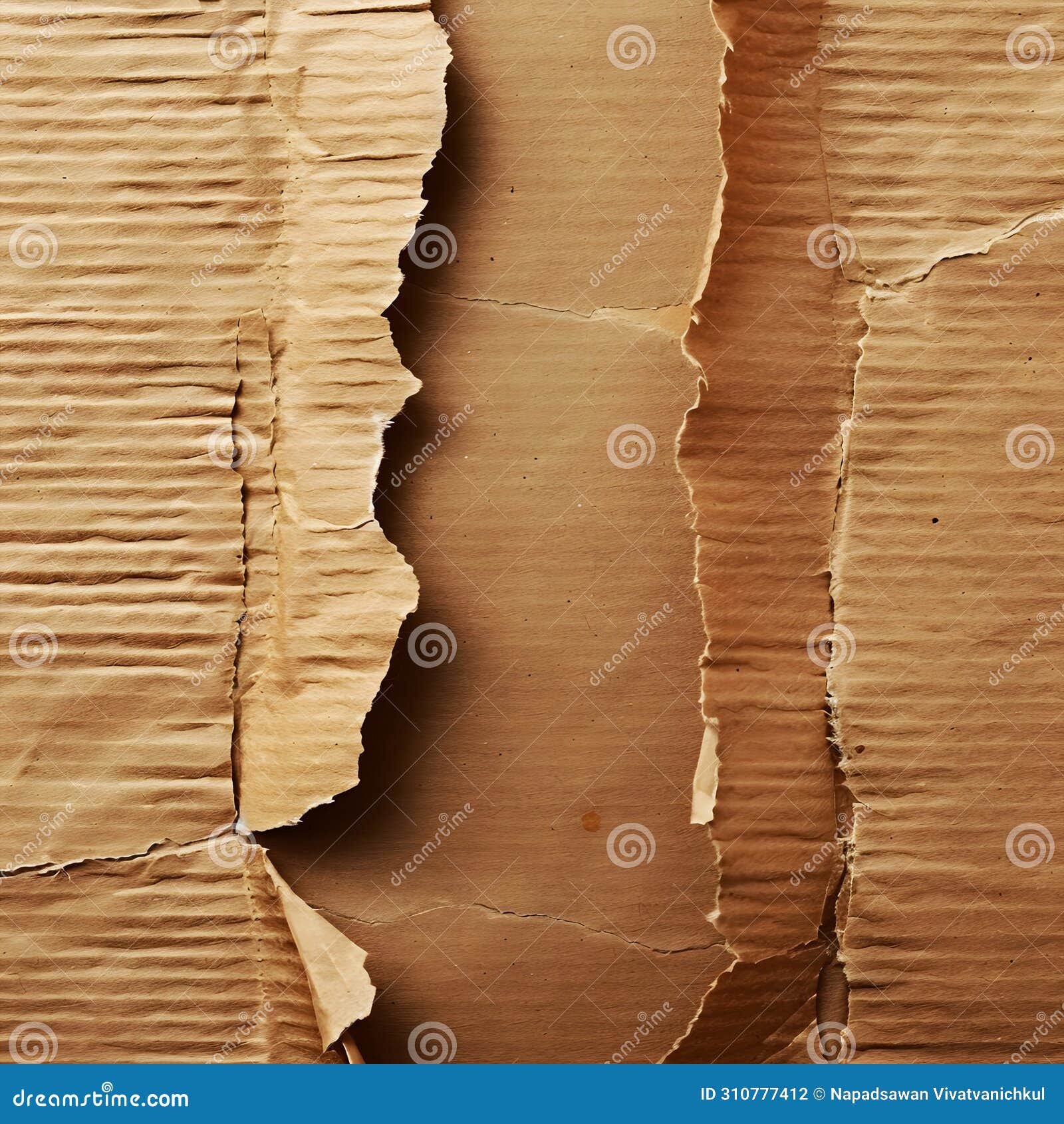 A Torn Piece of Cardboard with a Jagged Edge. Stock Illustration ...