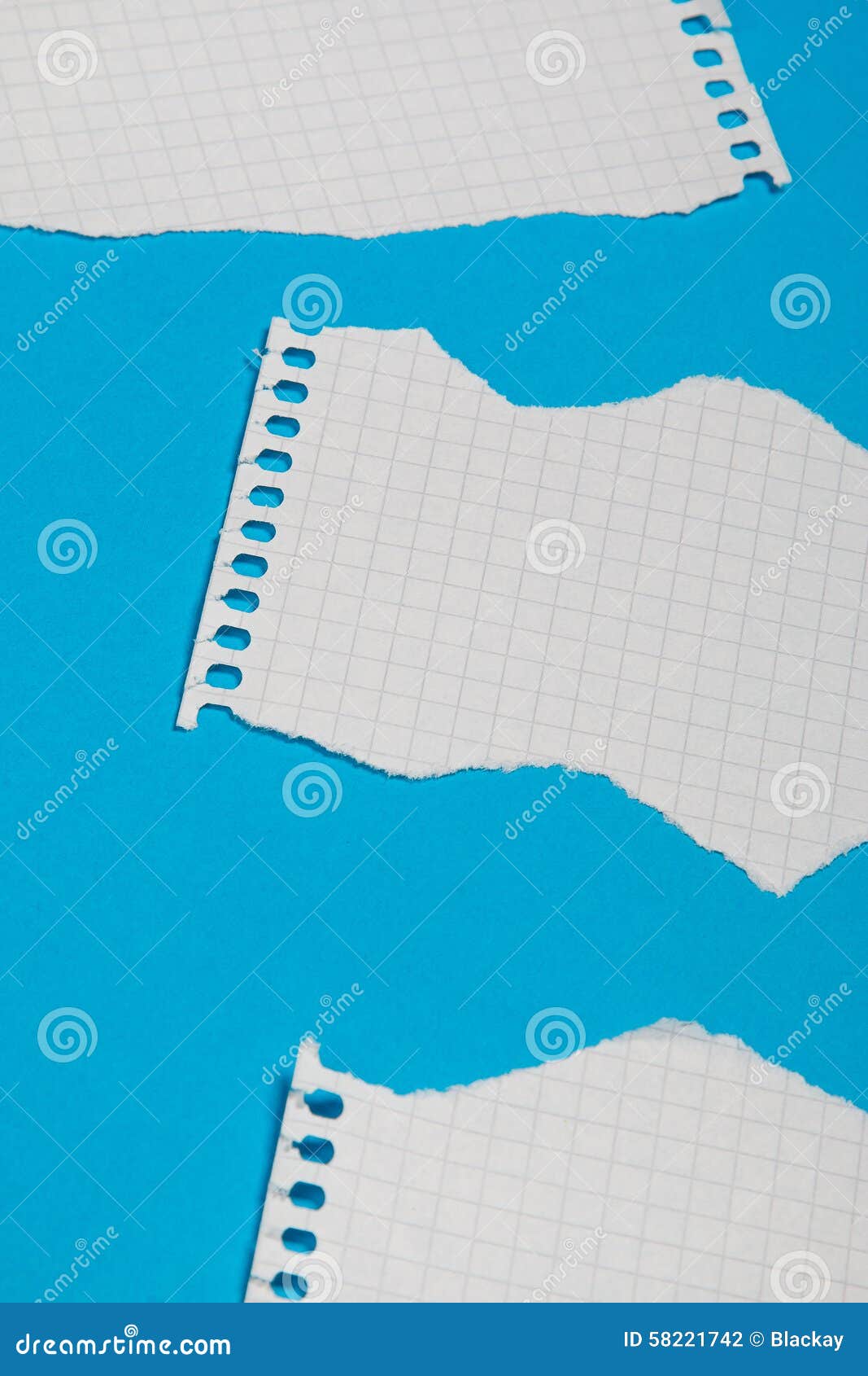 Torn Pieces of Checkered Paper Stock Photo - Image of reminder, blue ...