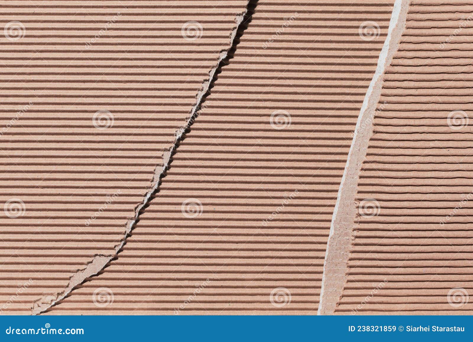 Torn Pieces of Packaging Cardboard Stock Image - Image of isolate ...