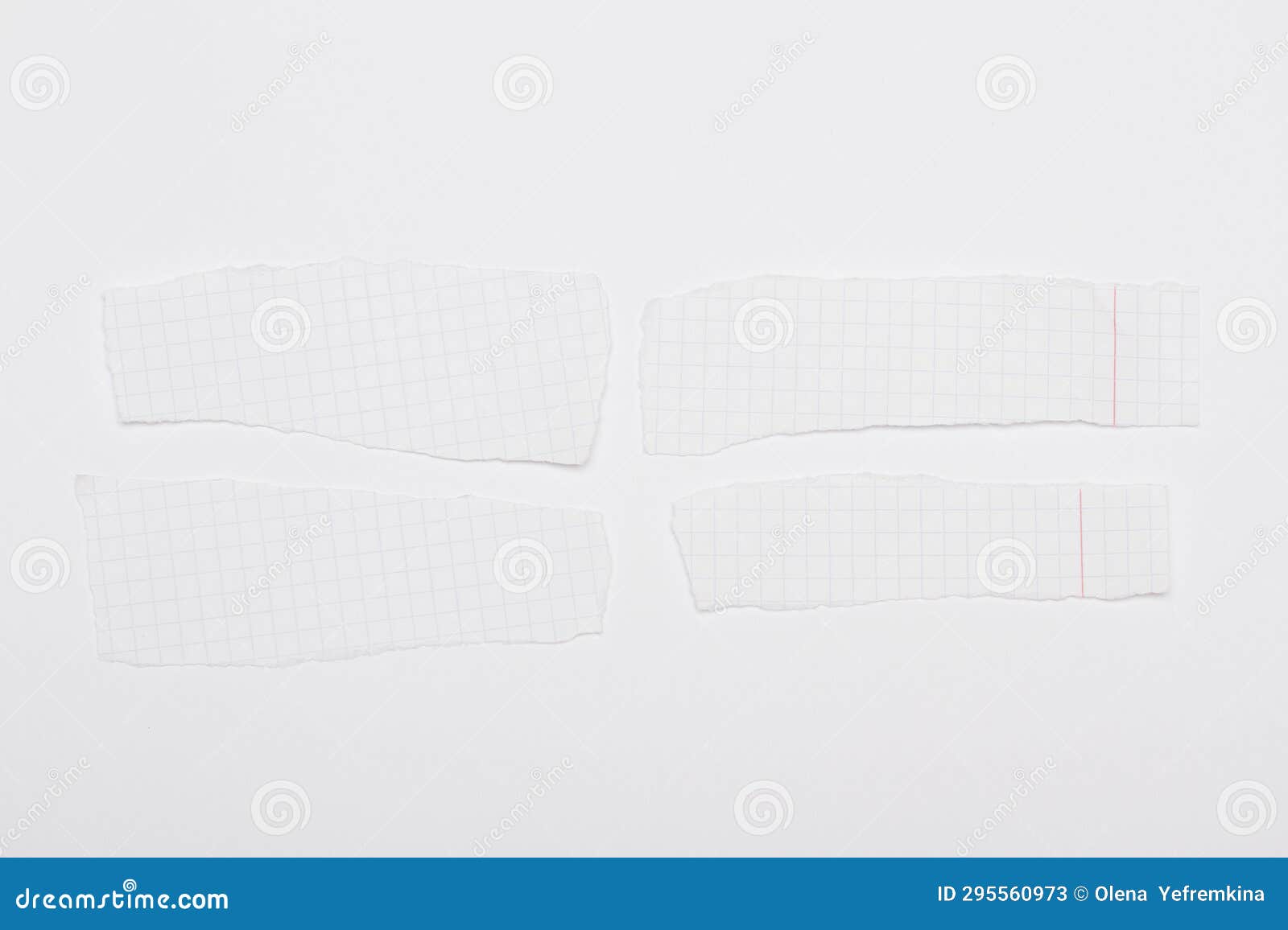 Torn Pieces of Paper in a Check on a White Background. Stock Image ...