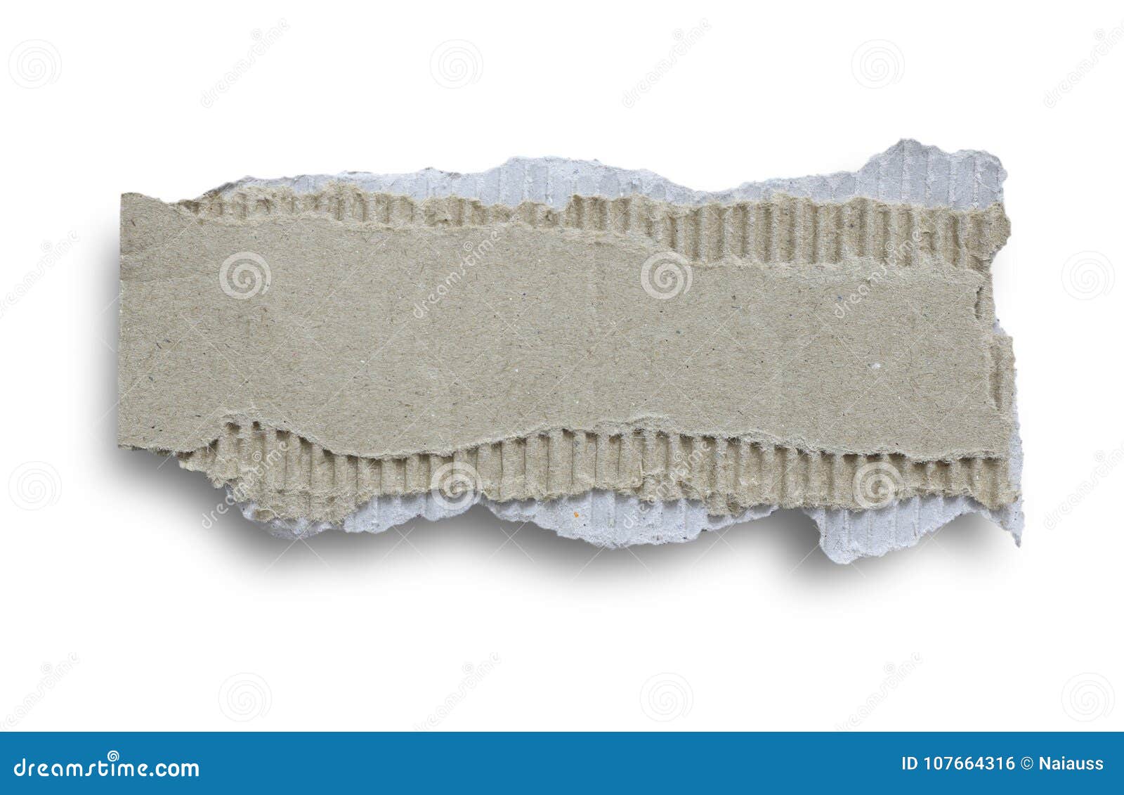 Torn rip paper stock photo. Image of hole, graphic, lacerated - 107664316