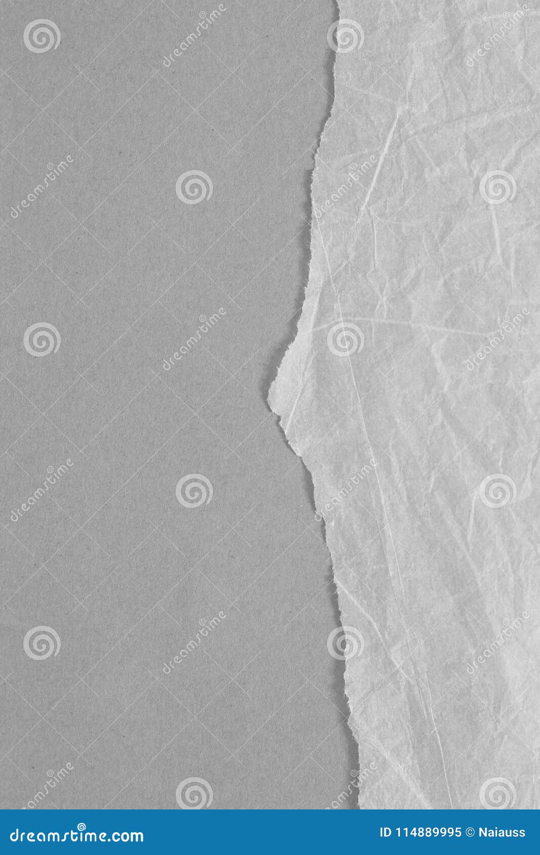Torn rip paper stock image. Image of hole, margin, copy - 114889995