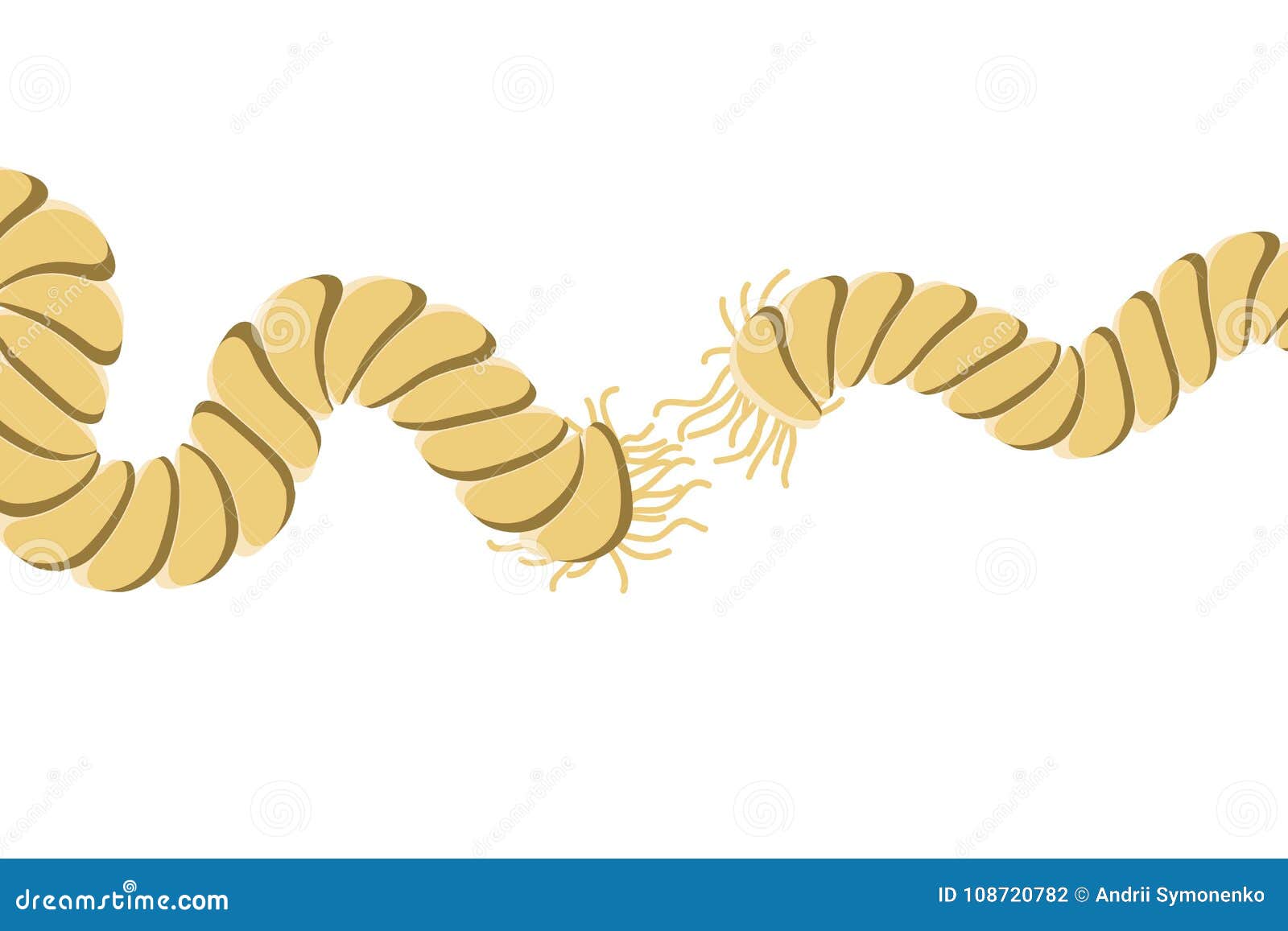 Torn Rope Elements. Vector Illustration Stock. Stock Vector ...
