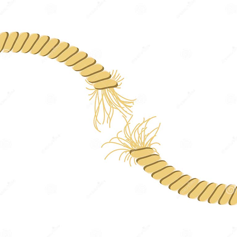 Torn Rope Elements. Vector Illustration Stock. Stock Vector ...