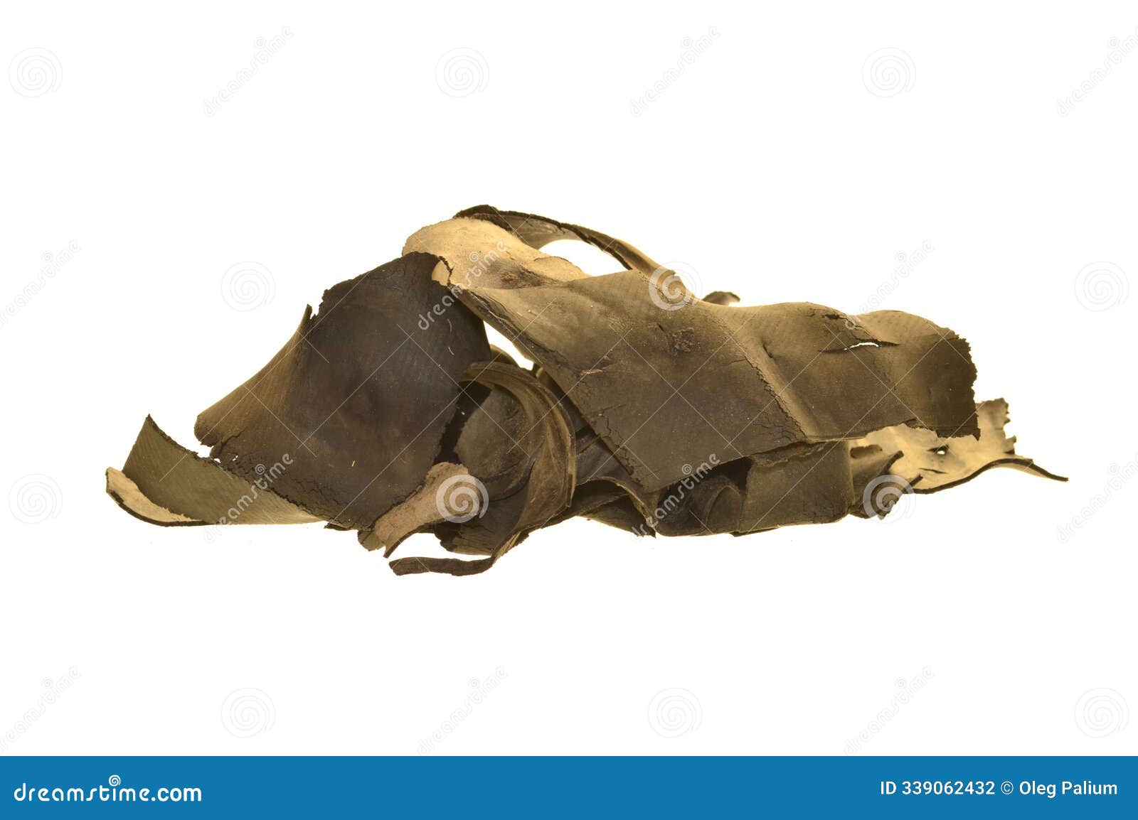 Torn Rubber Isolated On White Background Stock Photography ...