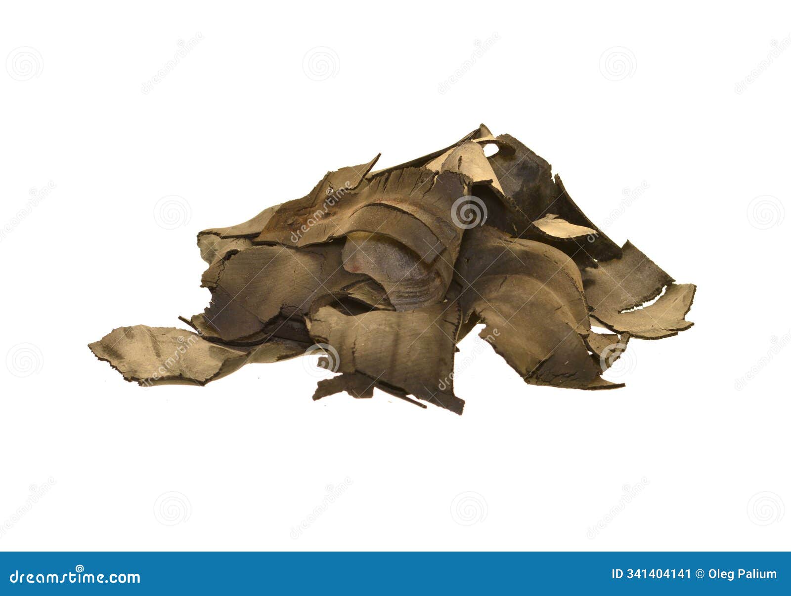 Torn Rubber Isolated on White Background Stock Image - Image of cutout ...