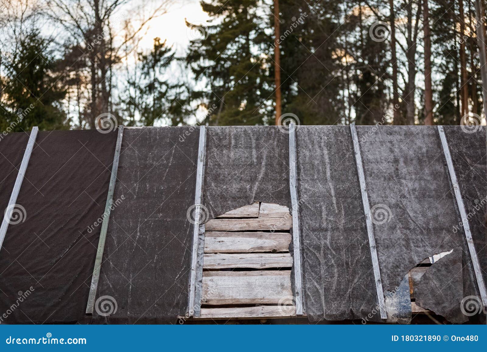 Torn Ruberoid Roofing Material on the Roof of the House Stock Photo ...