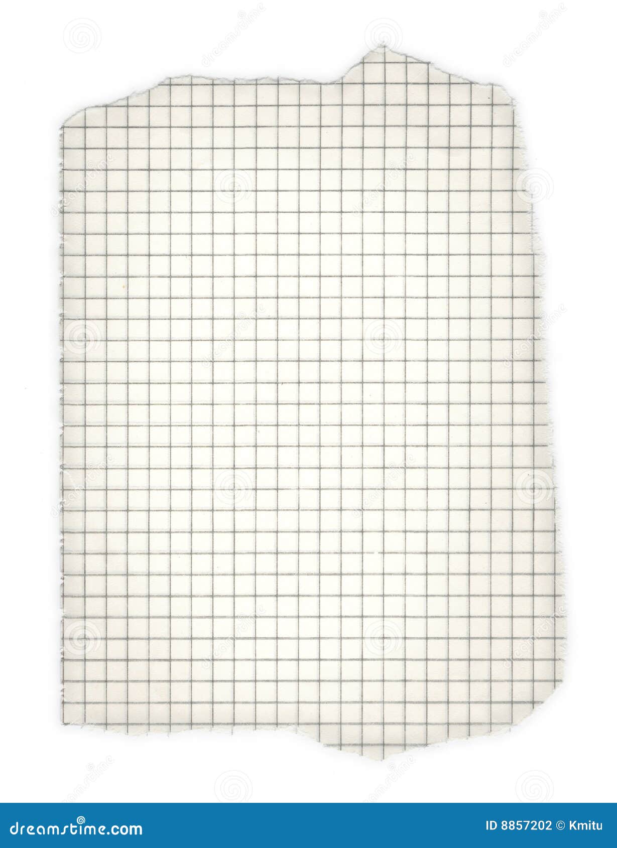 Torn squared paper stock photo. Image of high, notebook - 8857202