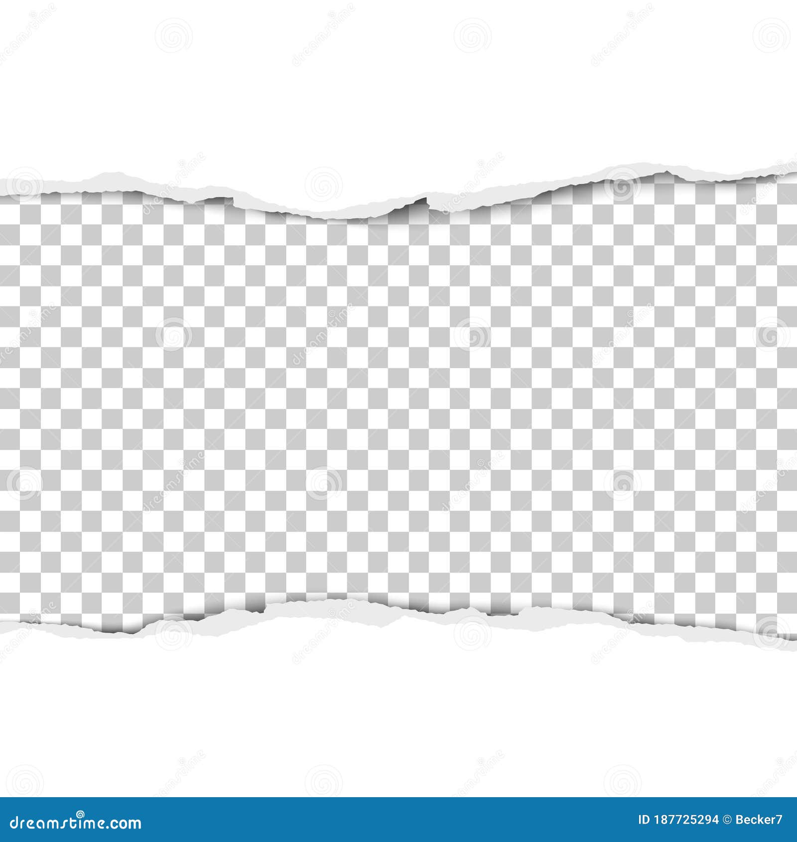 Torn Strip from the Middle of a White Sheet of Paper. Template Vector ...