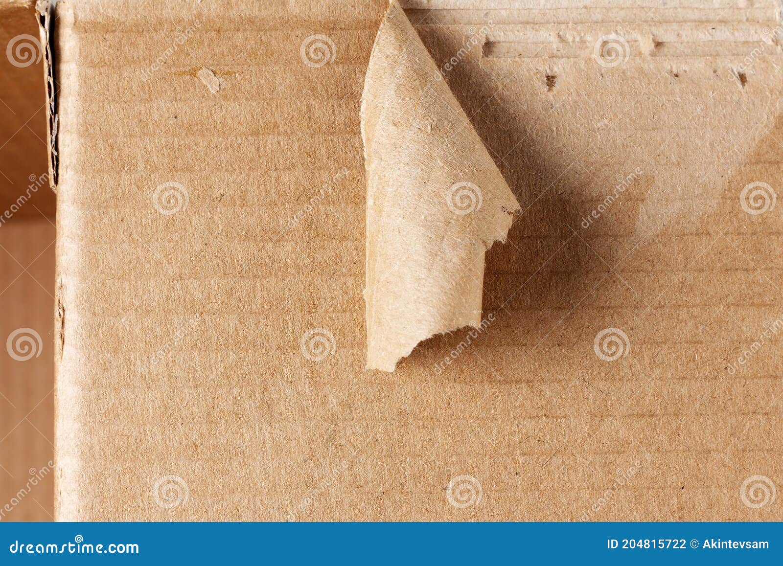 Torn surface cardboard box stock photo. Image of accident - 204815722