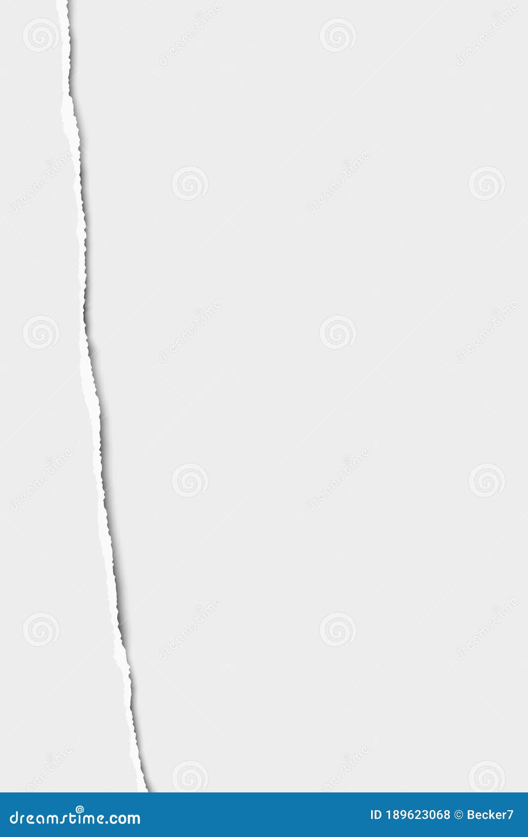 Torn from Top To Bottom Vertical Sheet of White A4 Paper on White ...