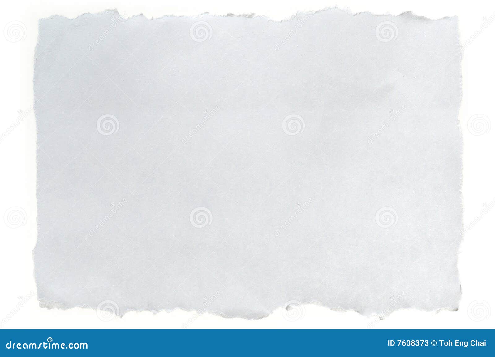 Torn Off White Toilet Paper Roll On Minimalistic Blue Background Stock ...