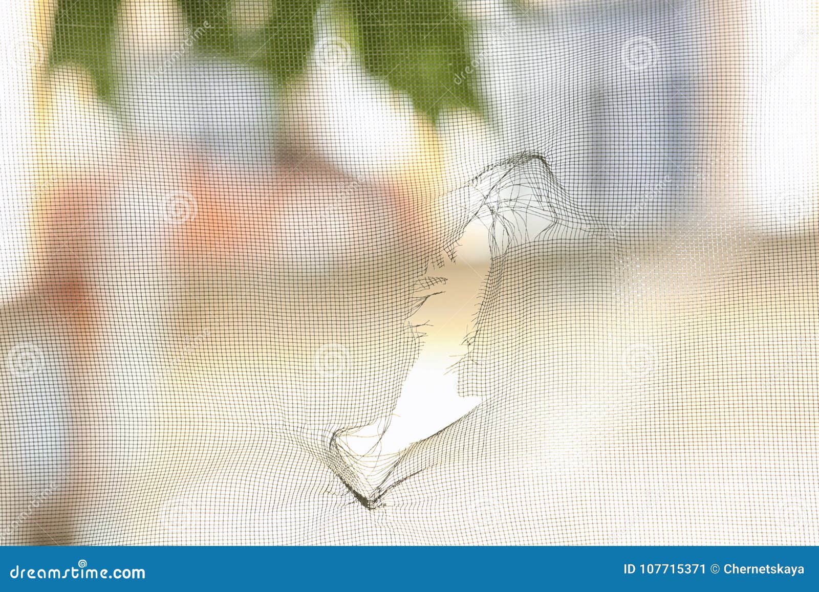 Torn Window Screen, Closeup Stock Image - Image of door, close: 107715371
