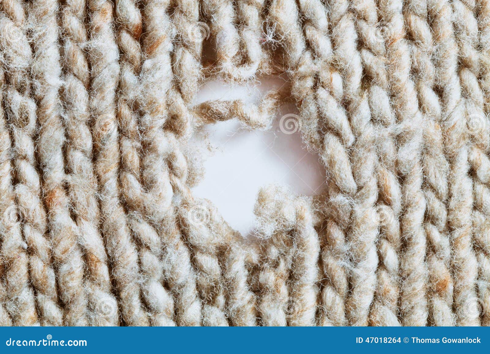 Torn wool stock photo. Image of claim, goods, refund - 47018264