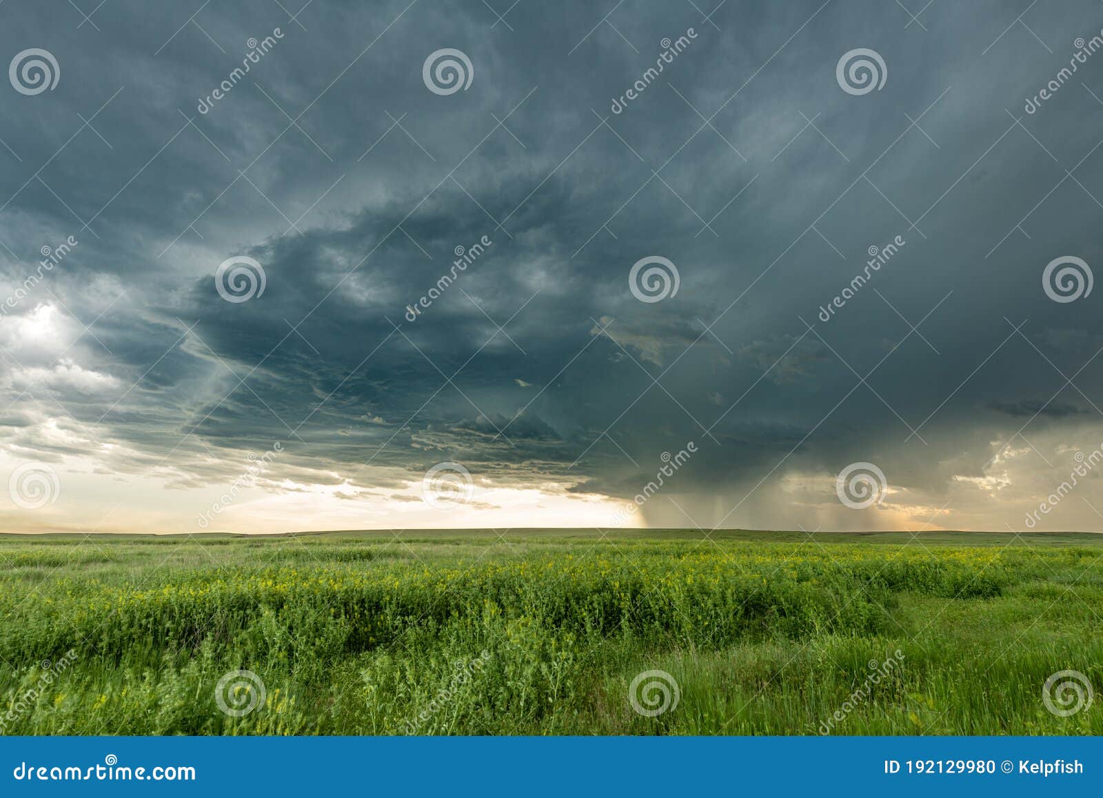 Tornadic Cell Over Grassy Field Stock Photo - Image of powerful, scary ...