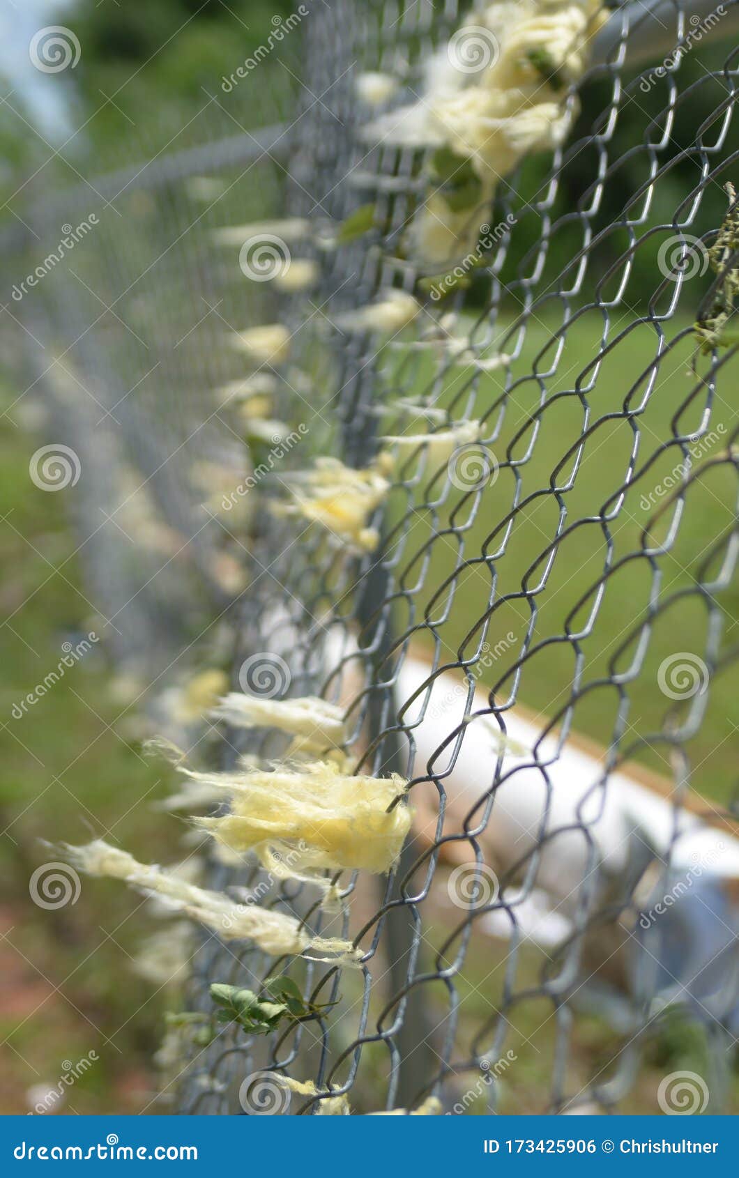 Tornado Damage from Spring Thunder Storms Stock Photo - Image of ...