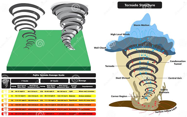 Tornado Vector Drawing Scale and Structure Infographic Diagram Stock ...