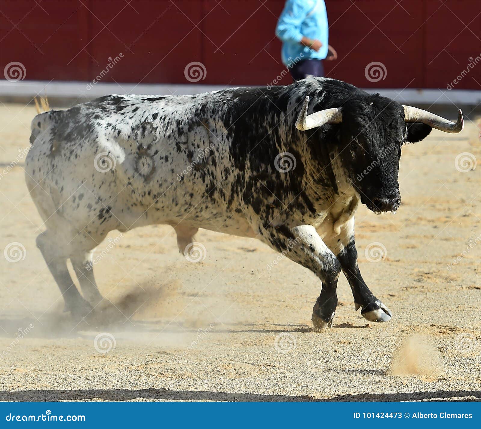 Toro immagine stock. Immagine di pericolo, nero, corni - 101424473