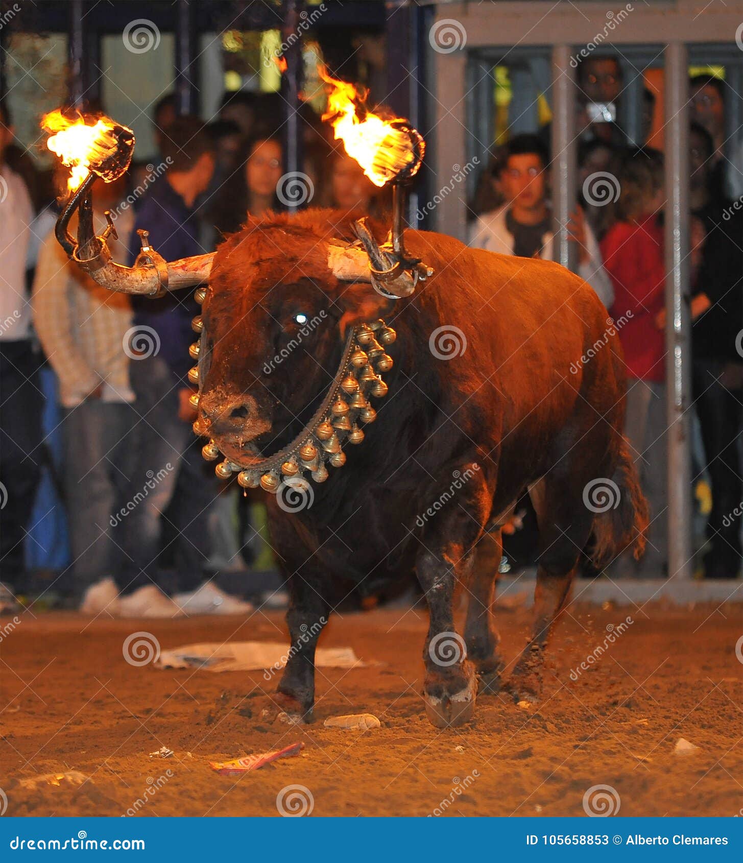 Toro fotografia stock editoriale. Immagine di corni - 105658853