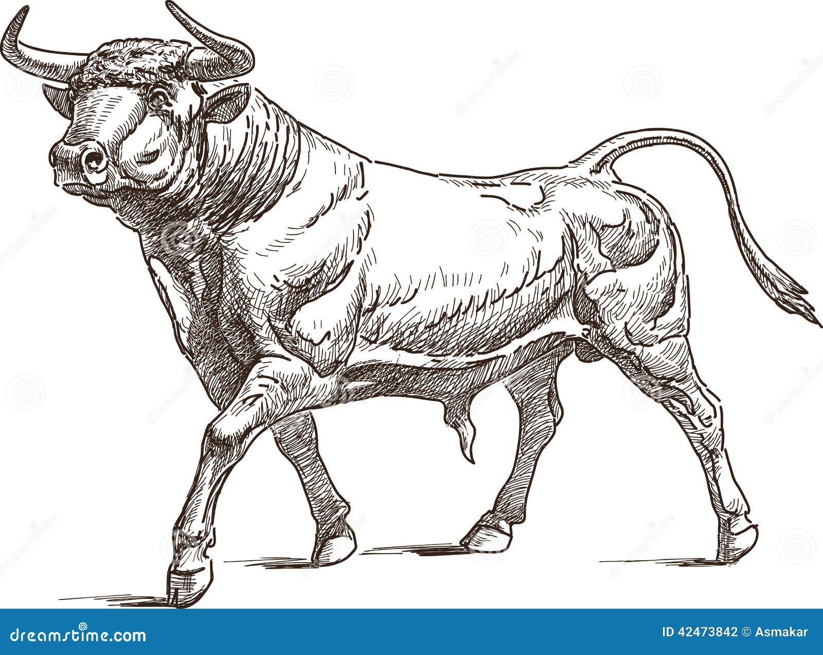 Illustration about Vector drawing of the big farm bull. Illustration of ...