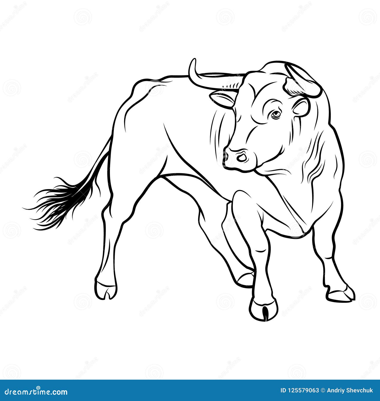 Toro Del Vector Un Ejemplo Del Esquema En Un Fondo Blanco Ilustración ...