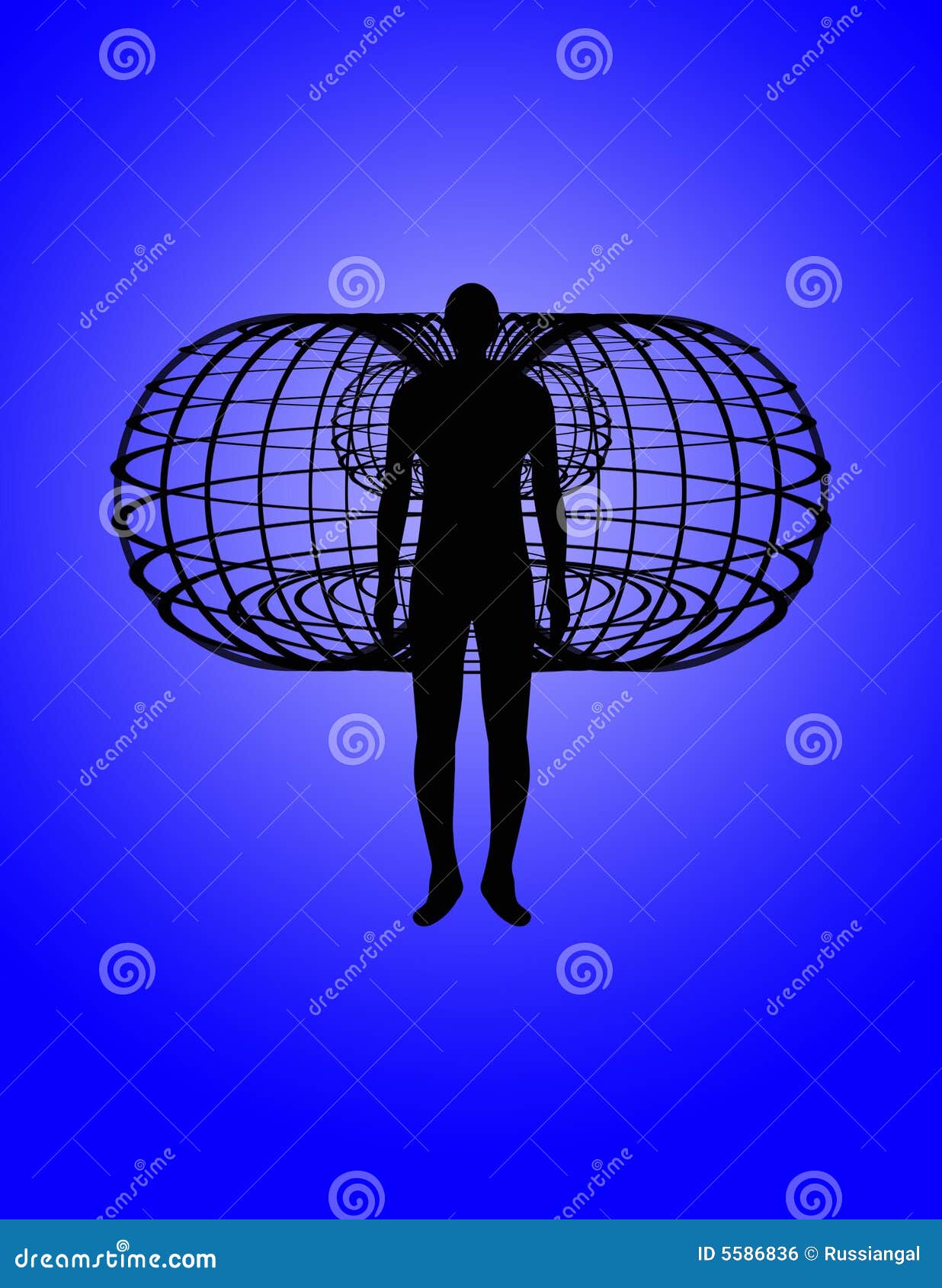 Toroidal Magnetic Field Lines . Fusion Energy. Helical Path Flow. Side ...