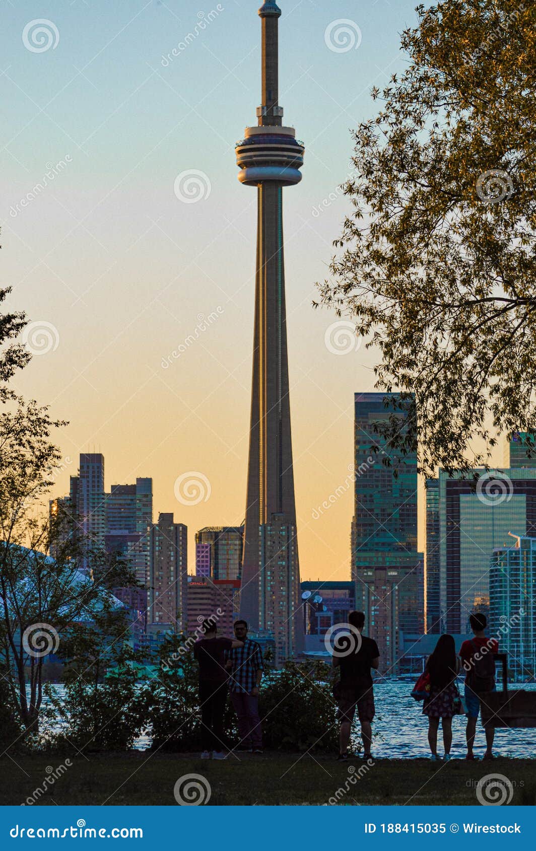 Toronto Canada Dic 12 2018 : Calles De Toronto Imagen editorial ...