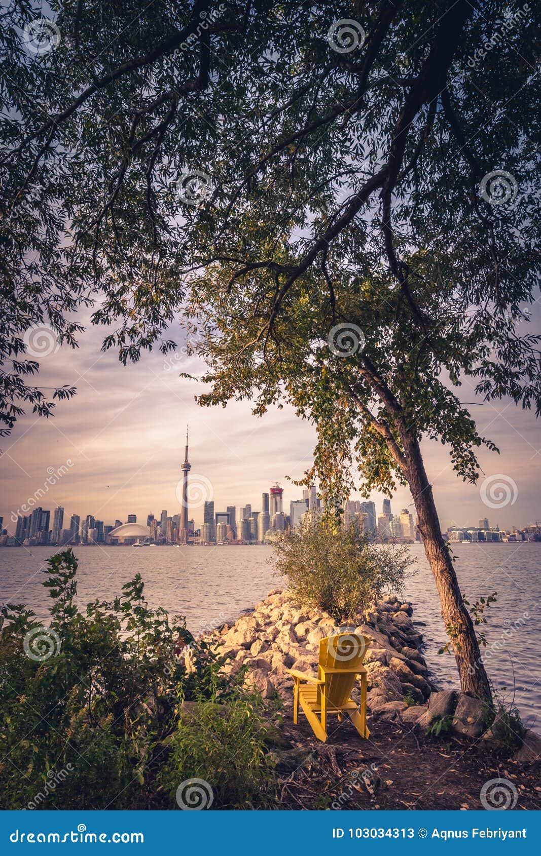 Toronto City during Sunset from Toronto Central Island Stock Image ...