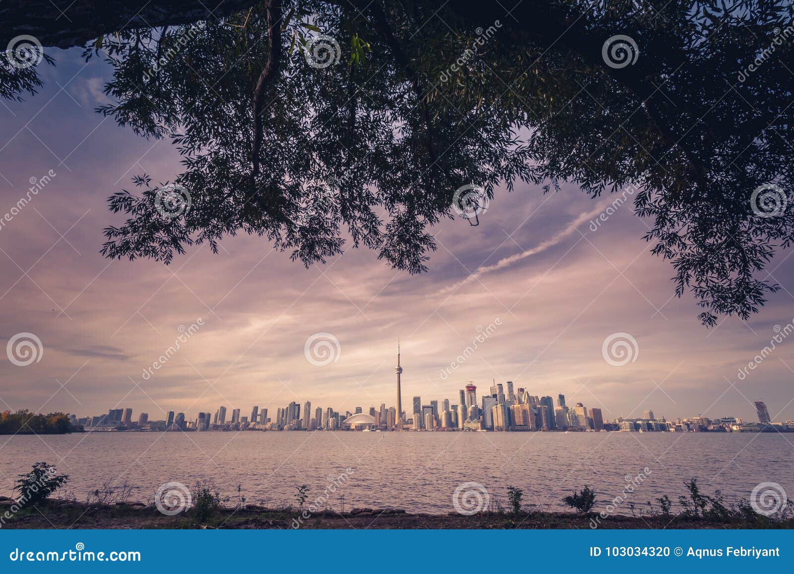 Toronto City during Sunset from Toronto Central Island Stock Photo ...