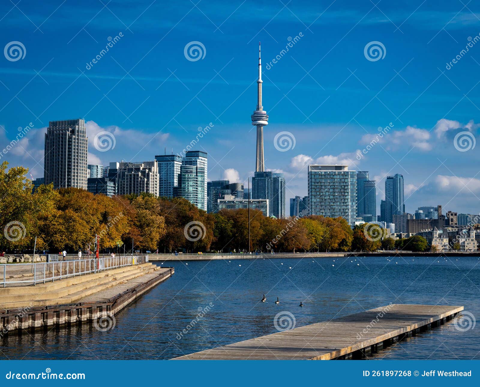 Toronto CN Tower and Downtown with Fall Colors Stock Photo - Image of ...