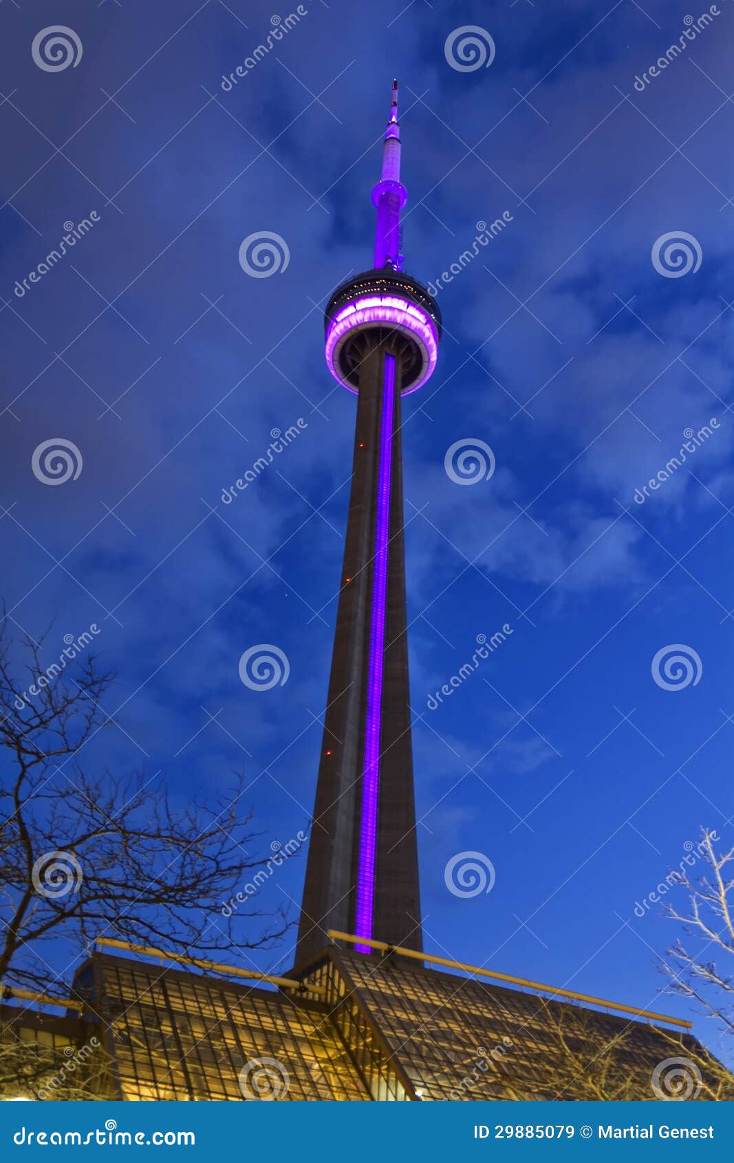 CN Tower by night editorial stock image. Image of elevator - 29885079