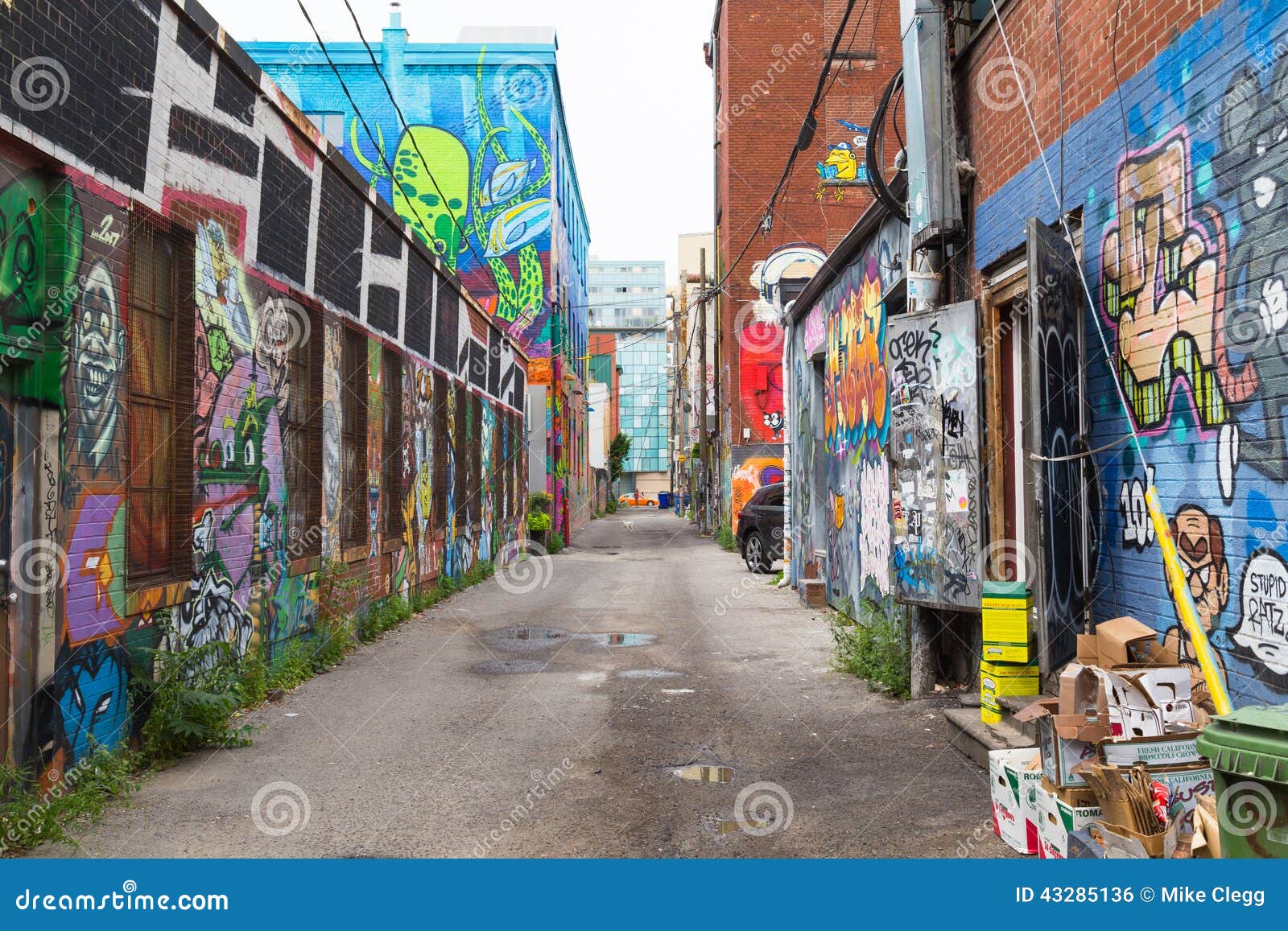 Toronto Graffiti Alley editorial photo. Image of design - 43285136