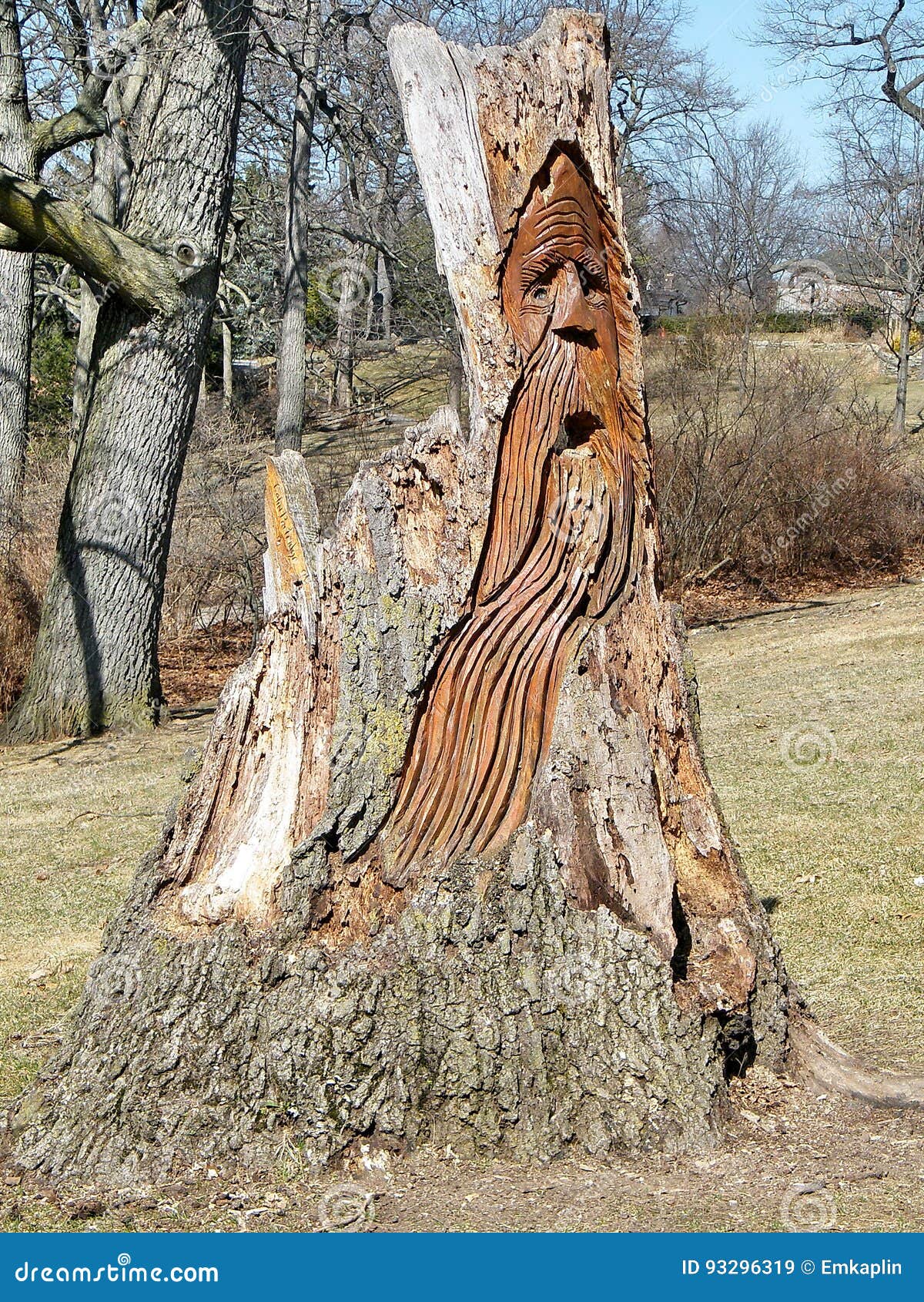 Toronto High Park Old Men Tree Carving March 2010 Stock Image - Image ...