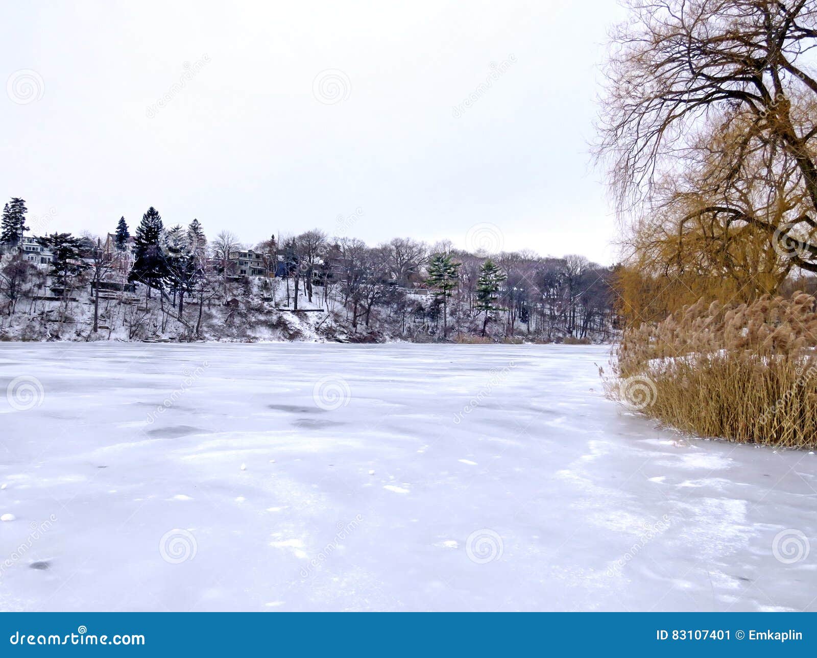 Toronto High Park Winter Pond 2016 Stock Image - Image of landscape ...