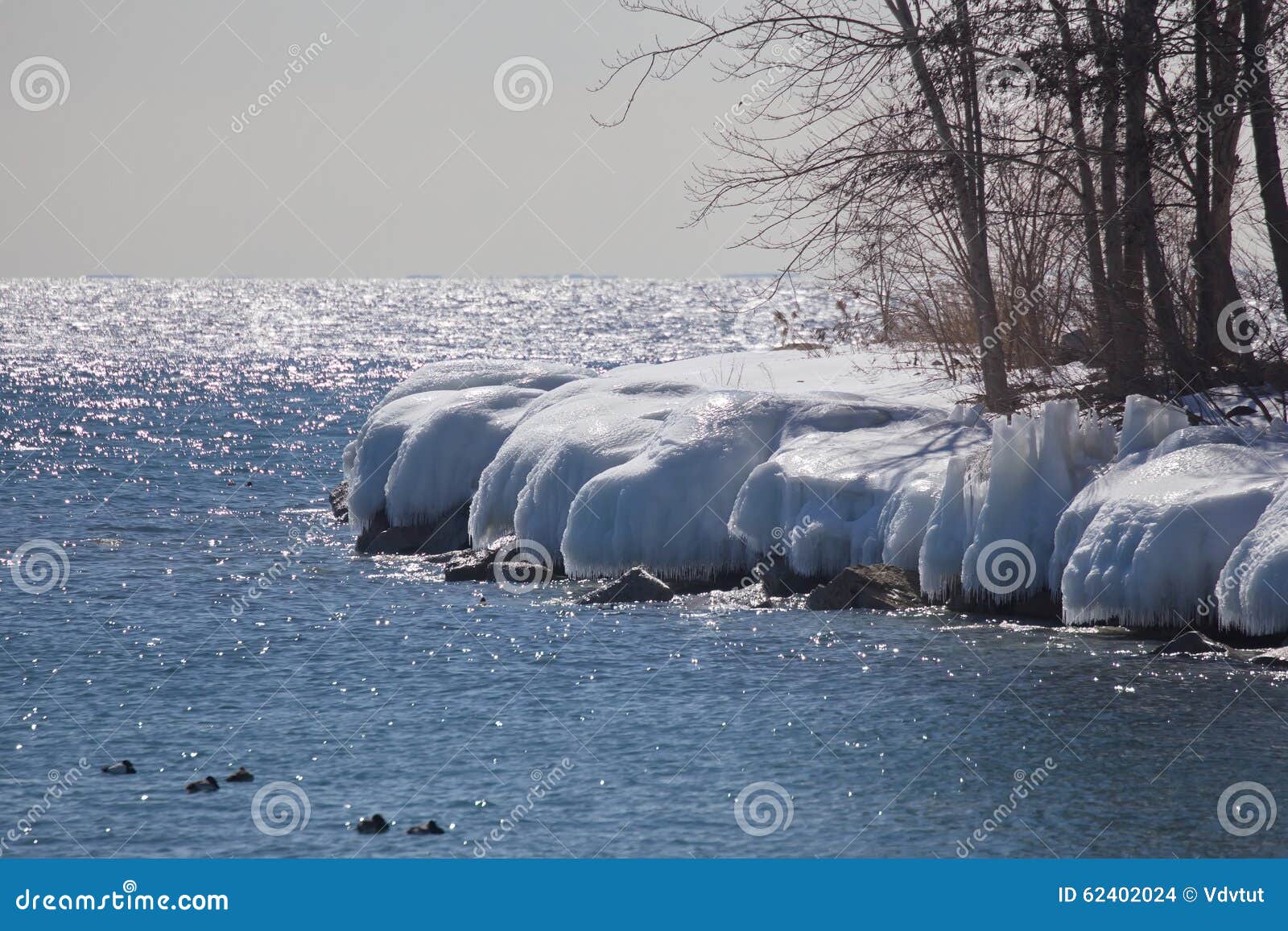 Toronto Lake Frozen Shoreline Stock Photo - Image of canada, ontario ...