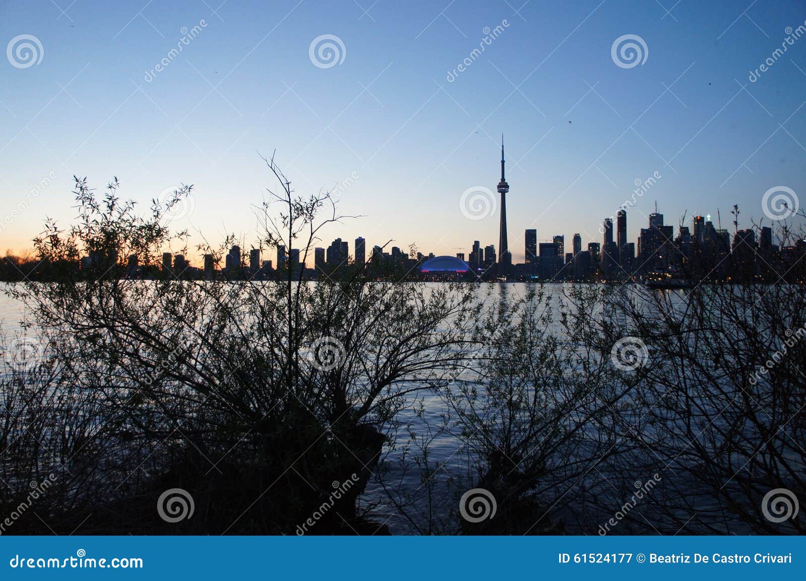 Toronto and plants stock image. Image of river, toronto - 61524177