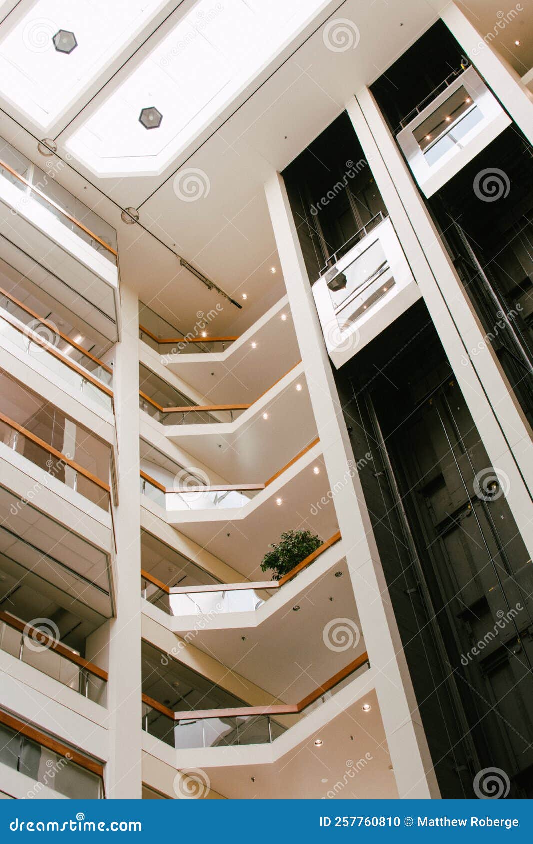 Toronto Public Library in Downtown Toronto, on, Canada Editorial Image ...