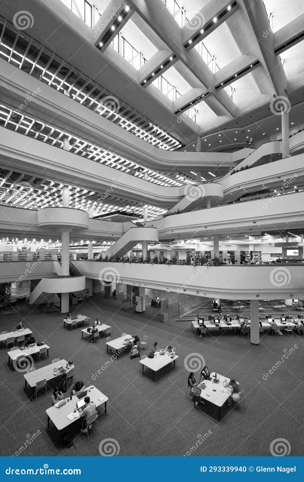 Toronto Reference Library editorial image. Image of reference - 293339940