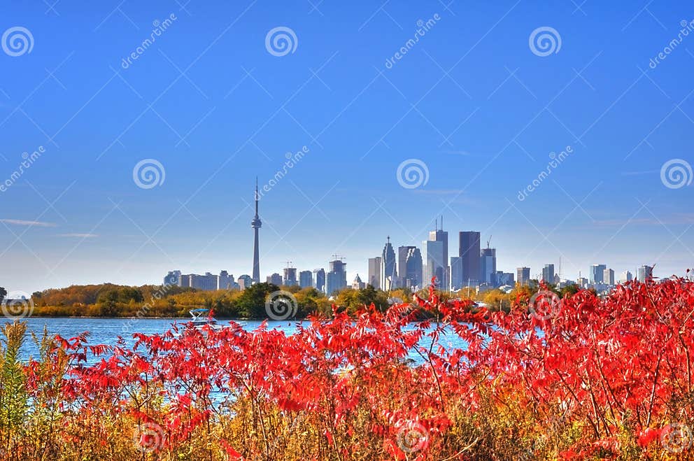 Toronto skyline stock image. Image of america, toronto - 13074927
