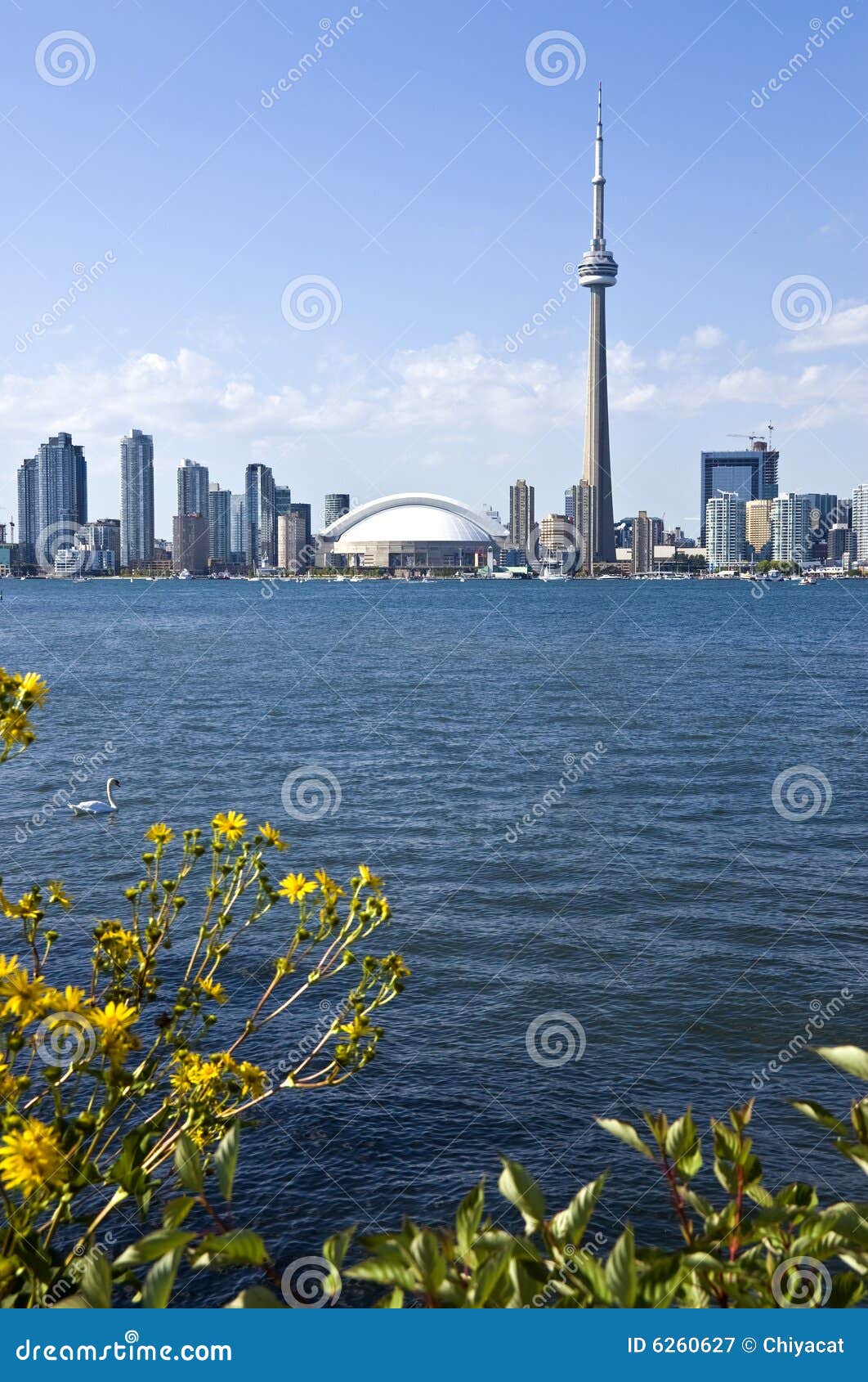The Toronto Skyline stock image. Image of cityscape, water - 6260627