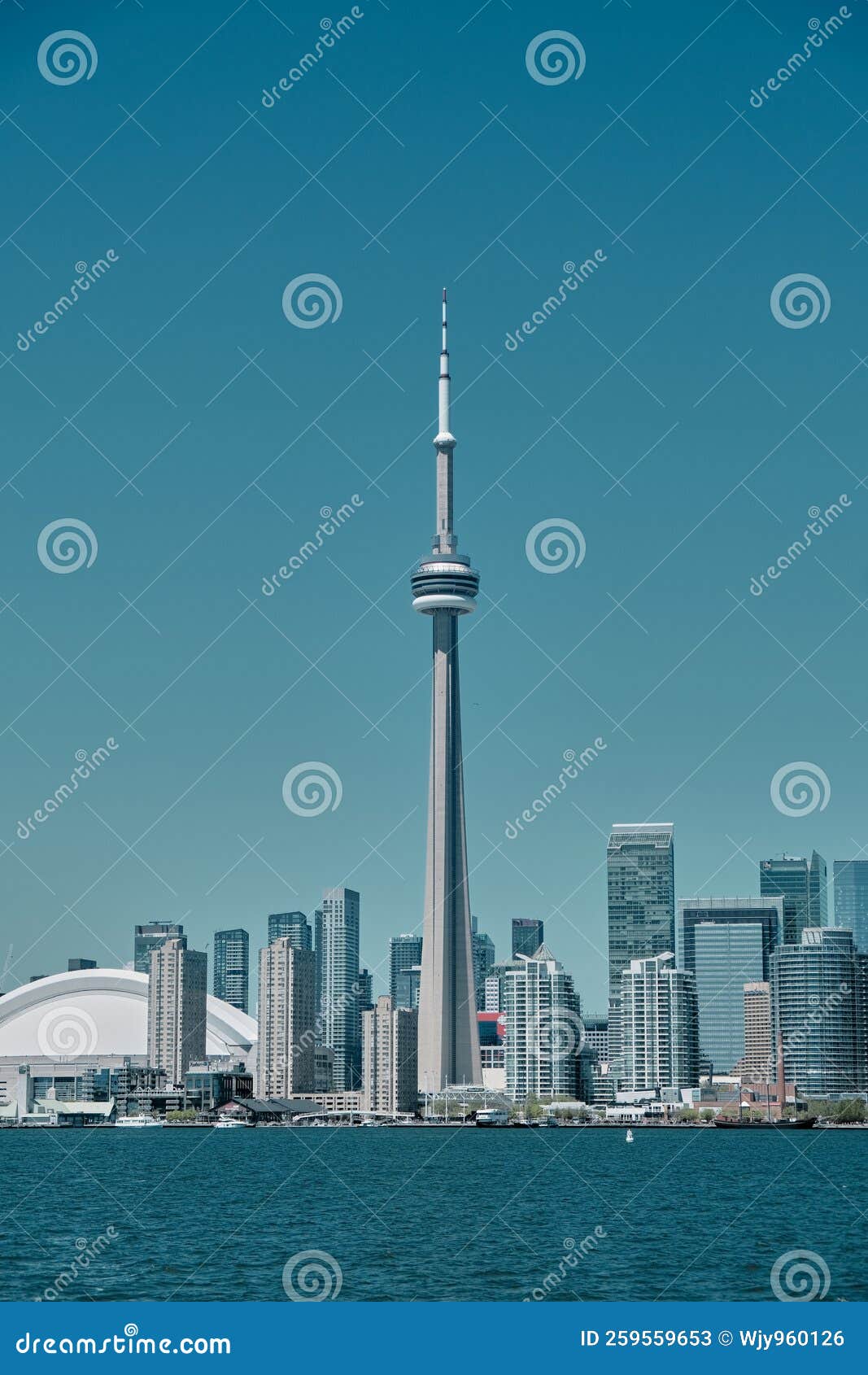 Beautiful toronto skyline editorial stock photo. Image of building ...