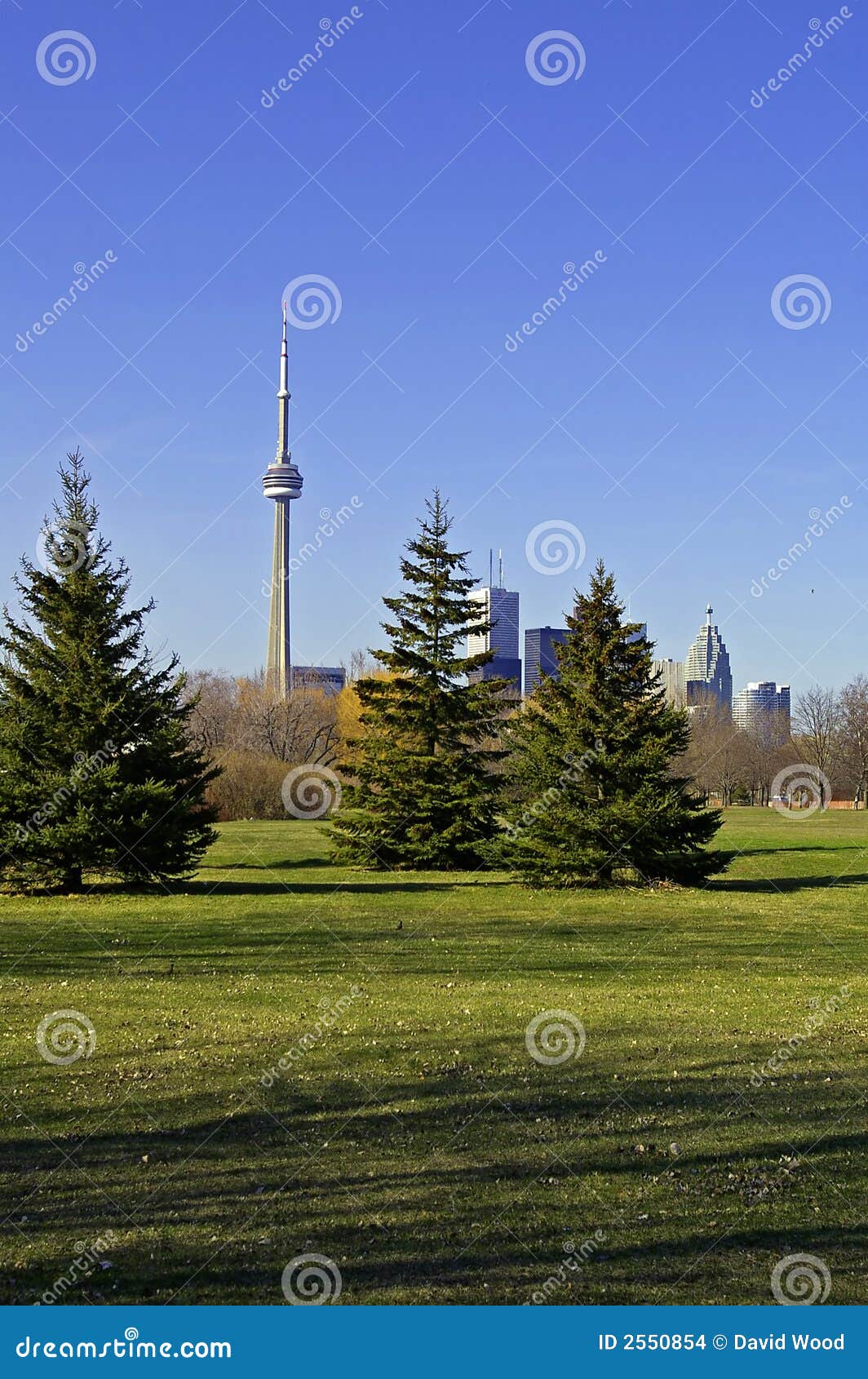 Toronto Skyline From Park Picture. Image: 2550854