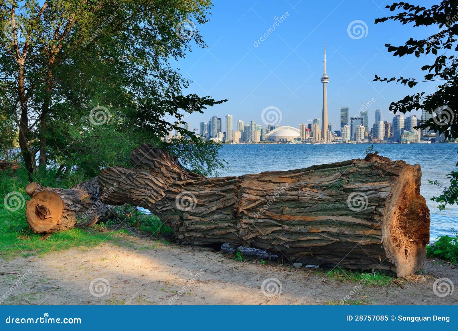 Toronto skyline from park stock image. Image of harbor - 28757085