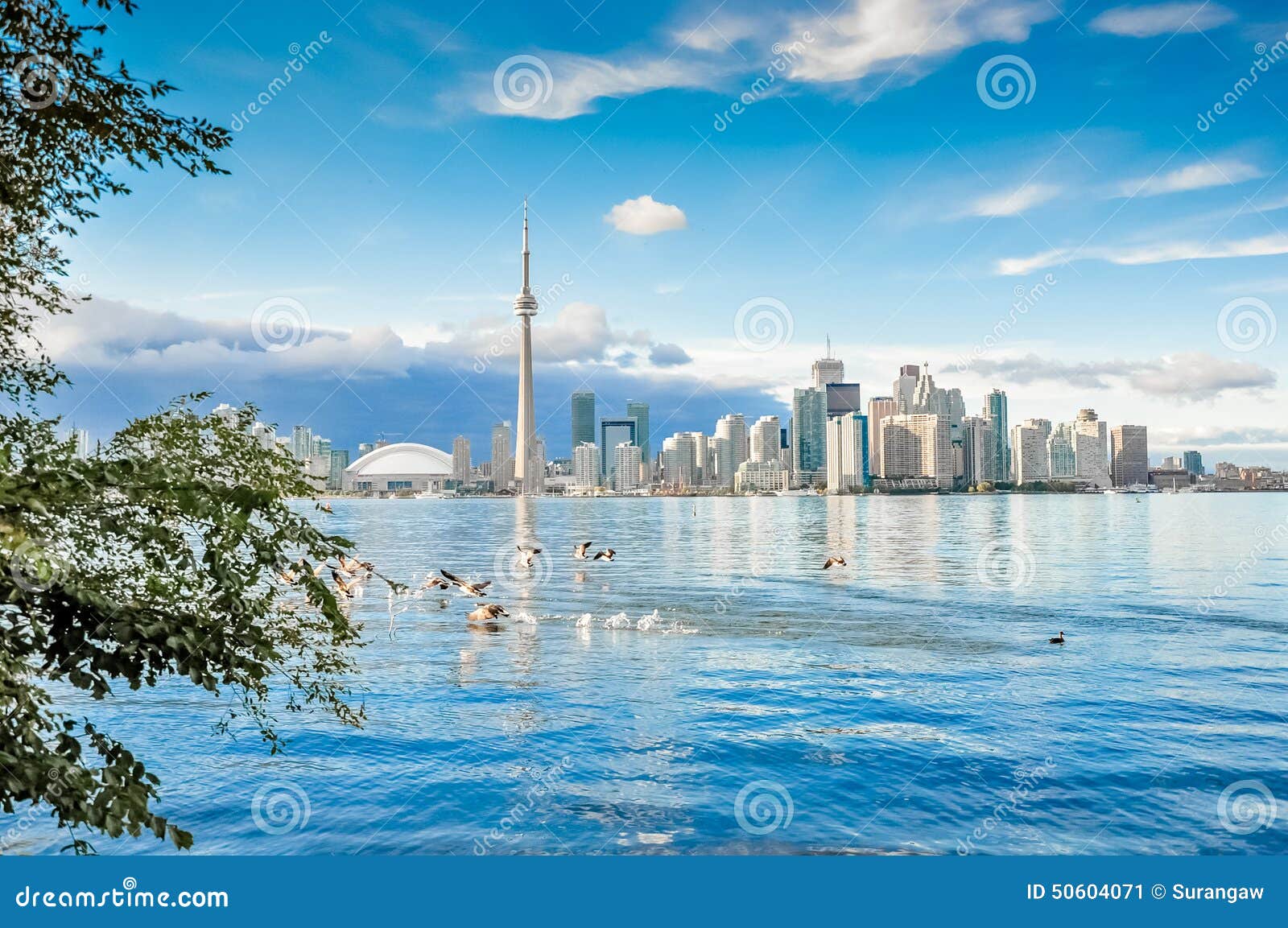 Toronto Skyline stock image. Image of downtown, area - 50604071