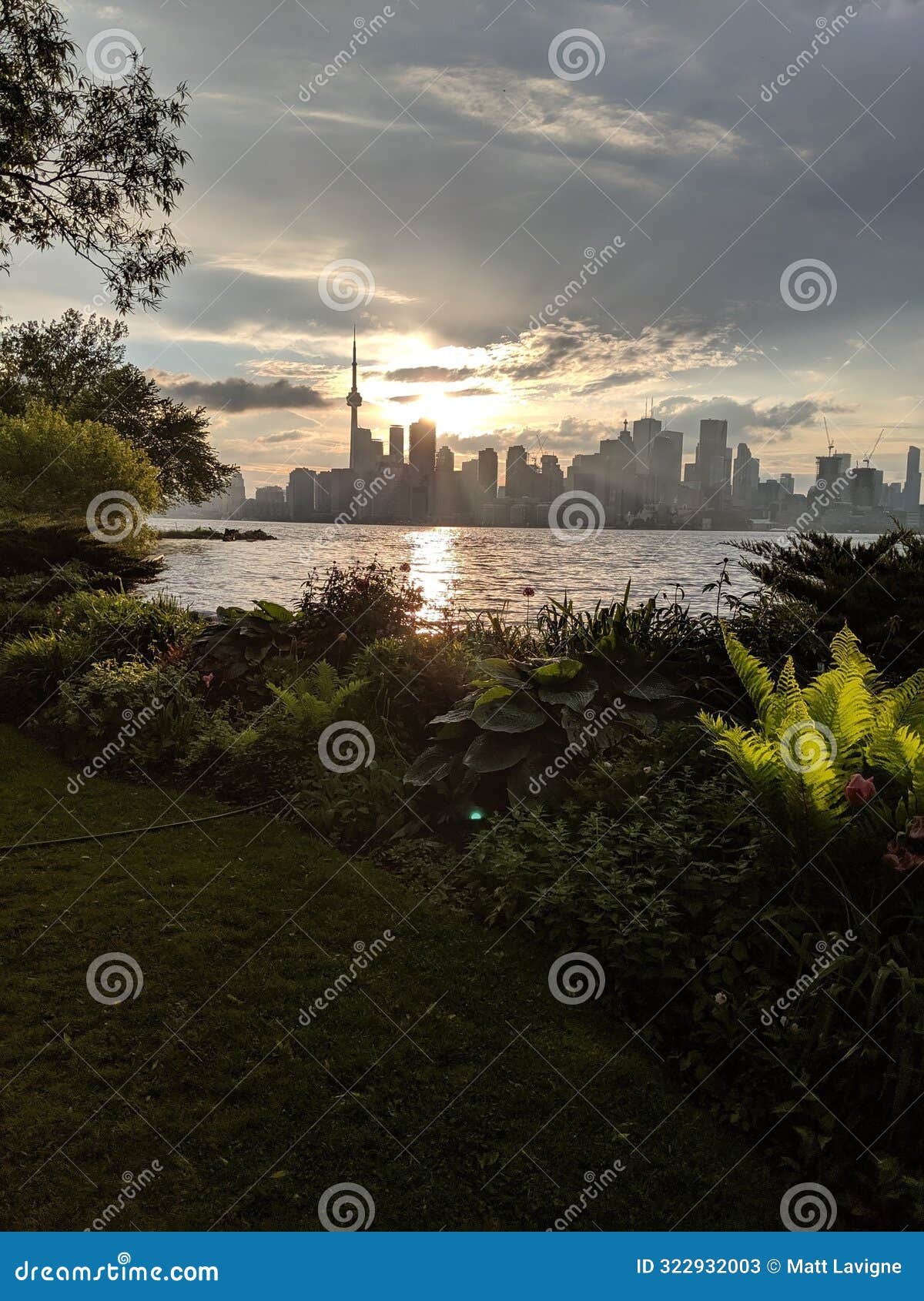 The Toronto Skyline at Sunset from a Park on Toronto Island Stock Image ...