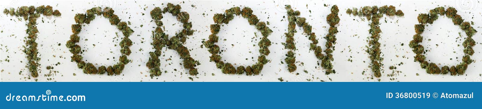 Toronto Spelled with Marijuana Stock Image - Image of marijuana ...